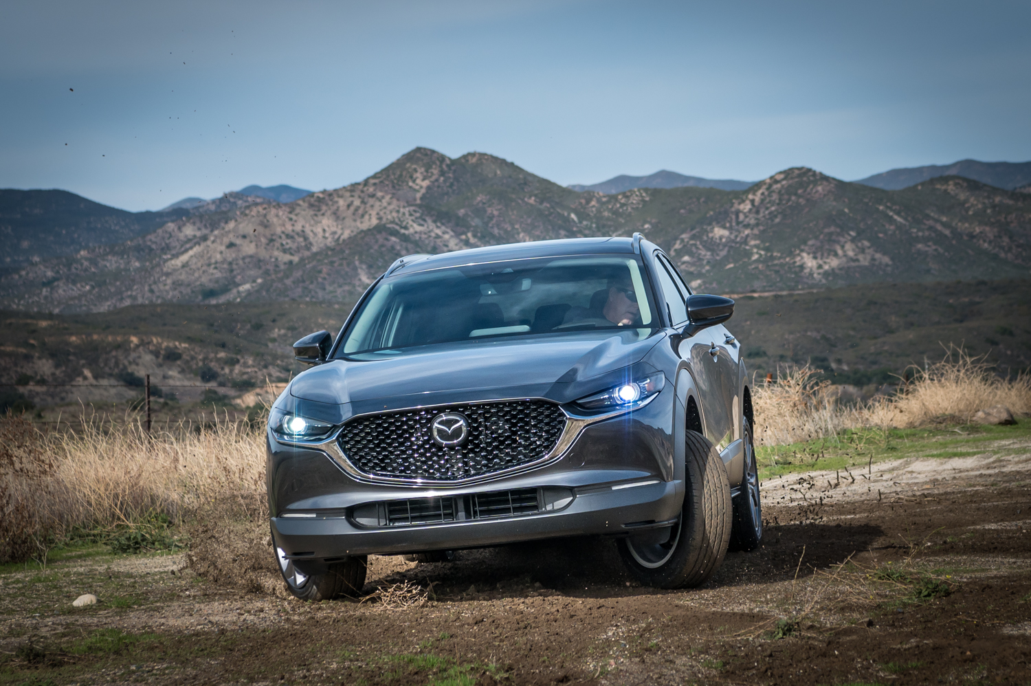 Small SUVs You Can Buy in 2020